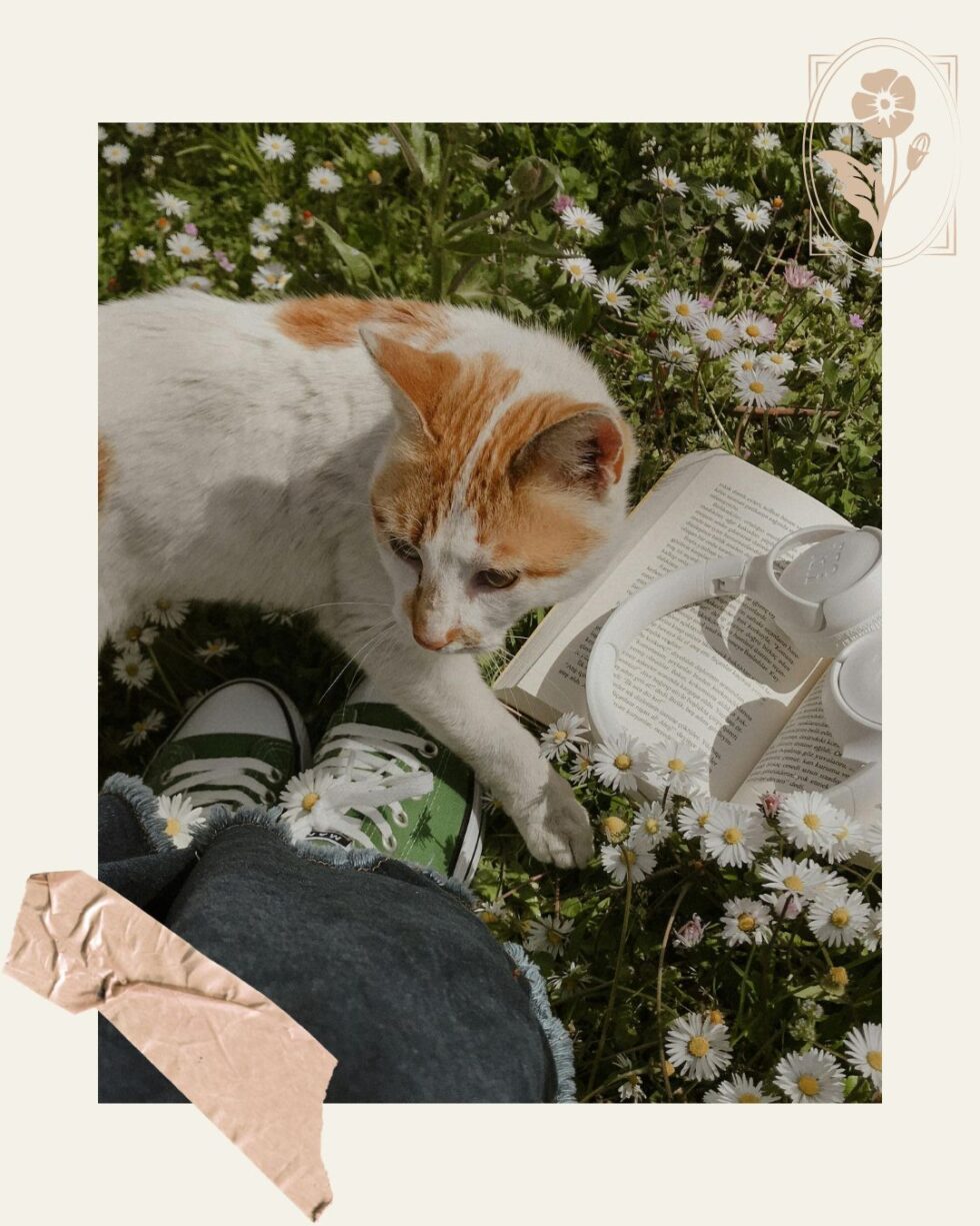 Template de site WordPress & Divi | Marie Rouquette Webdesigner